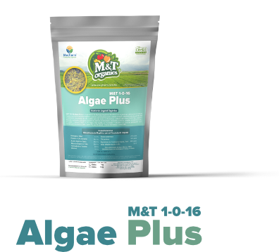 Algae Plus – Mar y Tierra