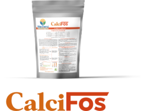 Calcifos – Mar y Tierra